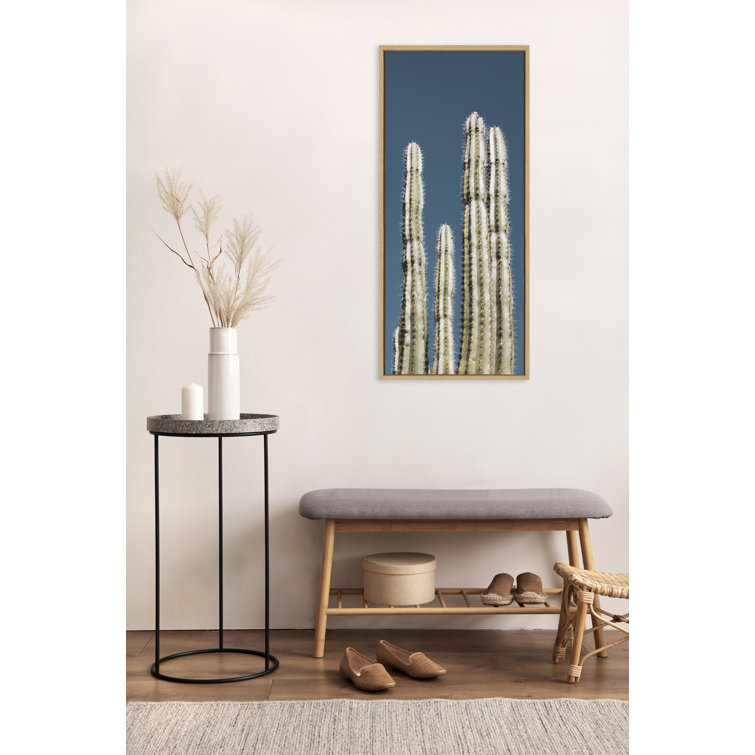 Beachcrest Home Shalyce " Desert Cactus Photography " by Stephanie Klatt on Canvas | Wayfair